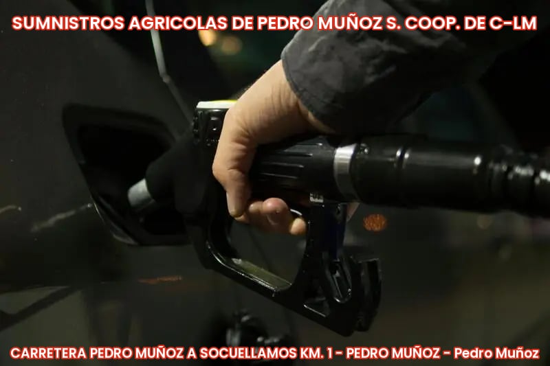 (Pedro Muñoz) Gasolinera SUMNISTROS AGRICOLAS DE PEDRO MUÑOZ S. COOP ...